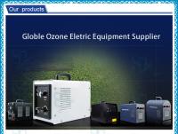 China 3g Ceramic Ozone Tube System Ozone Generator Kits 300 * 173 * 270 for sale