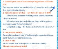 China 7g - 50g Air And Water Cooling Ceramic Ozone Generator Parts / Ozone Machine Tube for sale