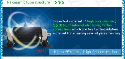 China 30g ISO Air And Water Cooling Ceramic Ozone Generator Parts / Ozone Machine Tube for sale