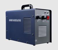 China 3g 5g 6g 7g 110V Hotal Water Ozone Generator CE Approval Ozone Water cleanr for sale