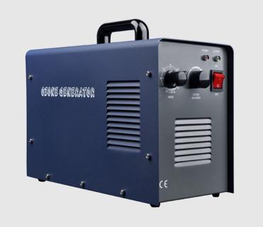 China 3g 5g 6g 7g 110V Hotal Water Ozone Generator CE Approval Ozone Water cleanr for sale