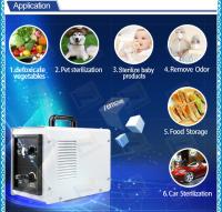 China 3g 5g 110V Ozone Water Purifier / Ozone Generator Water Treatment​ for sale