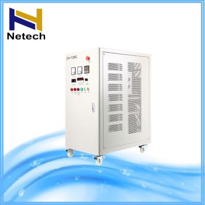 China 40g 100g Water Ozonator / High Output Ozone Generator For Swimming Pool for sale
