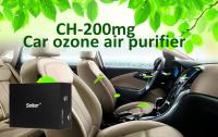 China 200mg/Hr Mini Car Remove Odor 12V Ozone Air Purifier for sale