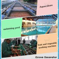 China Ozoned Water Making Machine Water Ozone Generator Stainless Steel for sale
