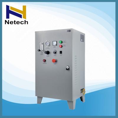 China Feed Outside Oxygen Source Ozone Water Purifier For Drinking Water 20g / h for sale