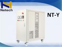 China 40g/h - 150g/h Industrial Activated Carbon Air Purifier Water clean for sale