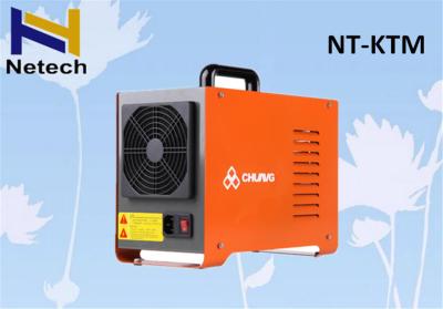 China Family Use Commercial Ozone Generator Ozone Machine For Fruits And Vegetables for sale