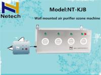 China 6g / H Wall Mounted O3 Ozone Generator Industrial Air Cleaning / Air Purifier for sale