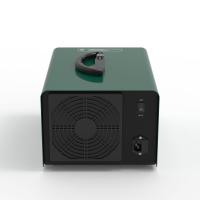 China Portable Household Ozone Generator 20g Longevity Ozone Purifier for sale