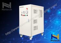 China Tilapia 10L 20L Oxygen Generator for For Fish Farm Increase Oxygen Content for sale