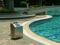 China Portable Swimming Pool Water Ozonator 2g - 20g 220V With ORP Meter Controller for sale