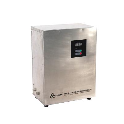 China Stainless Steel Water Ozone Generator 0.5-4.5ppm For Cleaning Vegetables Fruits Fish for sale