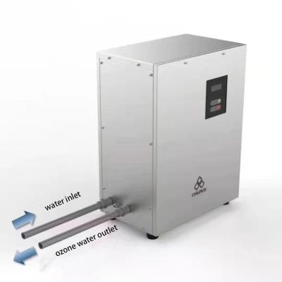 China 1-5ppm Water Ozone Generator Food Sterilizer Vegetable Fruit Washers Deodorization for sale