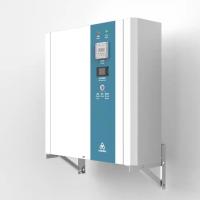 China Aquaculture Water Ozone Generator 10g Air Water Purifier For Sterilization for sale