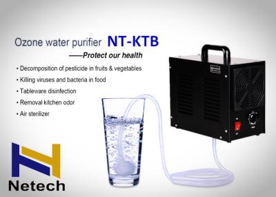 China 110V Household Ozone Generator For Kitchen 3g/h Fruits And Vegetables Washing for sale