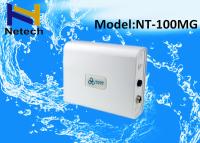 China 100mg Car Mini Ozone Generator Air Purifier With Ionizer Smoke Removal for sale