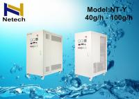 China Electronic Ozone Generator Ozone Water Filtration System 40g 50g 60g For Pool for sale