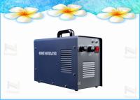 China 220V Electrical Adjustable Aquaculture Ozone Generator With Timer Water Purification for sale