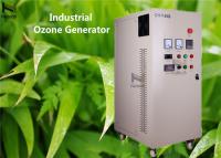 China 40g - 100g / hr Industrial Ozone Generator Ozonizer For Aquaculture Waste Water for sale