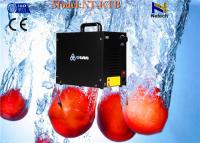 China 110V Portable Installation Food Ozone Generator For Kitchen 3g 5g Odor Removal for sale