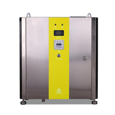 China 1-5PPM Ozone Water Generator For Kitchen Food Vegetables Washing Sterilization for sale
