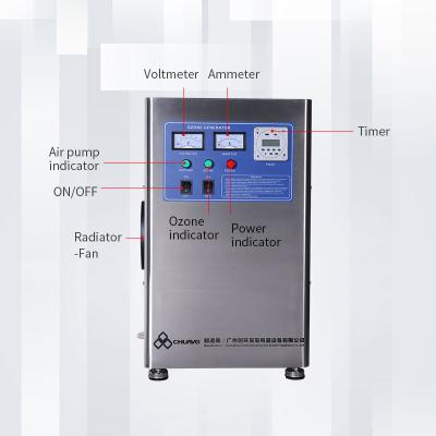 China Ss Housing Aquaculture Ozone Generator 10-60g Air Cooling Ozone Machine Water Treatment for sale