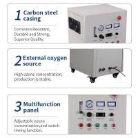 China High Ozone Concentration 60G Oxygen Feed Ozone Water Machine For Swimming Pool for sale