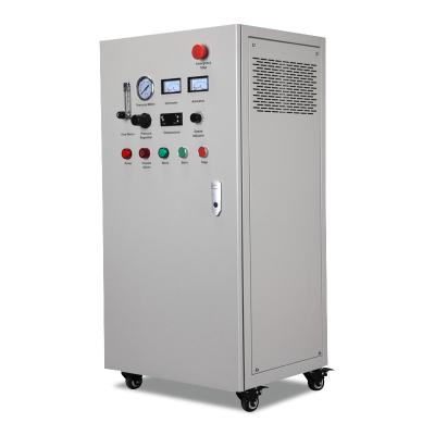 China High Ozone Concentration 60G Oxygen Feed Ozone Water Machine For Swimming Pool for sale
