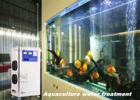China 220V Stainless Steelindustrial Ozone Machine Generator 2-20G Air Clean / Water Treatment for sale