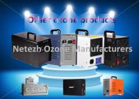 China 3g 5g 110 Voltage Water Ozone Generator For Kitchen Vegetables / Fruits Washing for sale