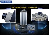 China Oxygen Source Ozone Generator For Industry Wastewater Treatment O2 Concentrator for sale