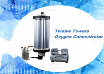 China 3L - 15L PSA Oxygen Concentrator Parts Oxygen Sieve For Aquaculture for sale