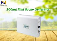 China Portable 100mg Electrical Ozone Generator Machine For Car Air Purity Chraming for sale