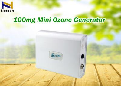 China Portable 100mg Electrical Ozone Generator Machine For Car Air Purity Chraming for sale