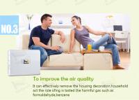 China 100mg Mini Ozonator Household Ozone Generator Remove Smoke Keep Air Fresher for sale