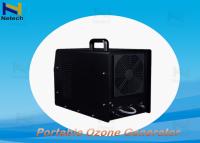 China Electrical Automotive Ozone Generator 80W With Ceramic Ozone Tube Oxygen Source for sale
