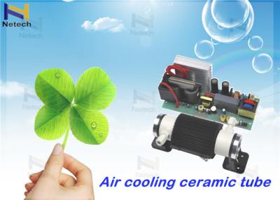 China 1-7g Ozone Generator Parts Ceramic Tube Corona Discharge Stable Ozone Output for sale