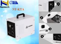 China 220V Odor Removal 3g - 5g Portable Ozone Generator For Hotel Room Kill Bacteria for sale