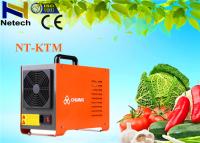 China 5g Food Ozone Generator For Refrigerator Keeping Meat Fresh 110V O3 Generator Food Washing for sale