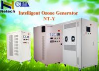 China 110V Large Ozone Generator 20 - 200g Intelligent Ozone Genertor For Industry Water for sale