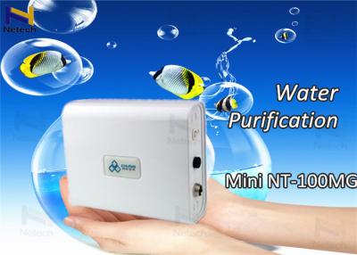 China 100mg Mini Ozonator Household Ozone Generator Remove Smoke Keep Air Fresher for sale