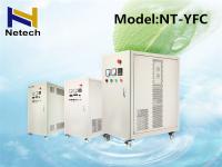 China 30G Food Processing Ozone Generator For Keep Fruits And Vegetables Fresh And Cold Storage for sale