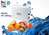 China 100mg Fruit Vegetable Odor Free Ozone Generator 110V Water Air cleanr Ozonizer for sale