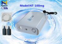 China 100mg Fruit Vegetable Odor Free Ozone Generator 110V Water Air cleanr Ozonizer for sale