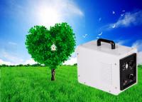 China 220V High Efficiency Household Portable Ozone Generator Ionizer Car Air Purifier for sale