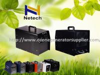 China 110 Voltage Food Ozone Generator Kitchen Ozone Generator For Food Preservation for sale
