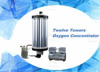 China 100% Twelve Towers PSA Gas Equipments Type Oxygen Concentrator Repair 3 - 15L for sale