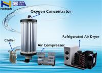 China 3 Liter Two Towers Oxygen Concentrator Parts PSA Oxygen Concentrator 110V for sale