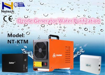 China 220V ozone generator water treatment 5000mg/Hr For Household Water Sterilizing for sale